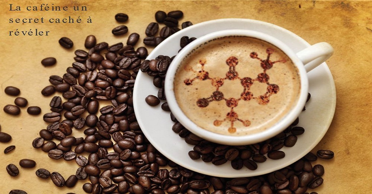 La caféine un secret caché à révéler