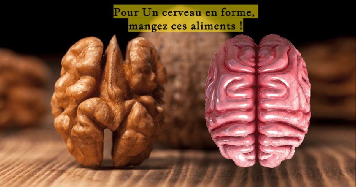 Pour Un cerveau en forme, mangez ces aliments